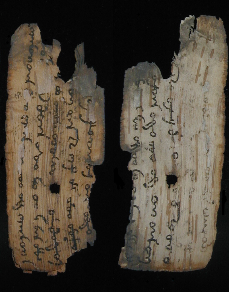 Bactrian documents | Invisible East