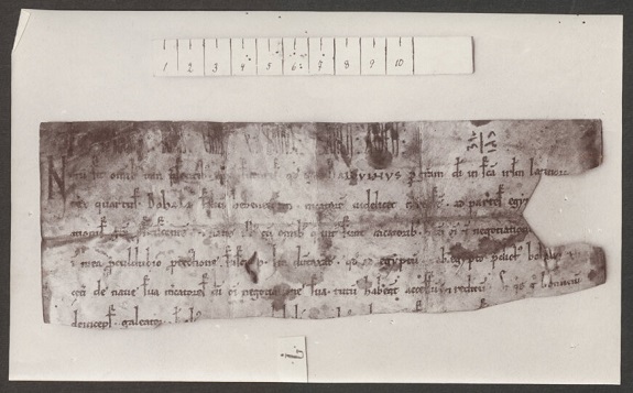Document of the Month 2/26: A Letter of Safe Passage | Invisible East