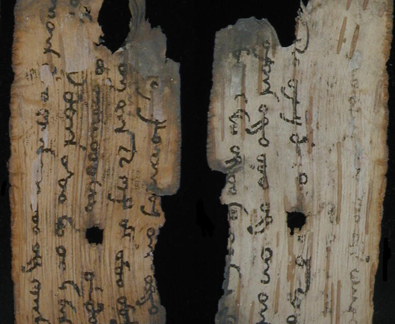 Bactrian documents | Invisible East